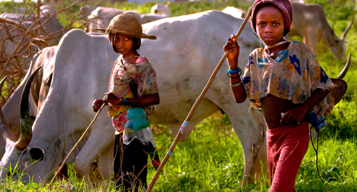 Counting In Fulani Language